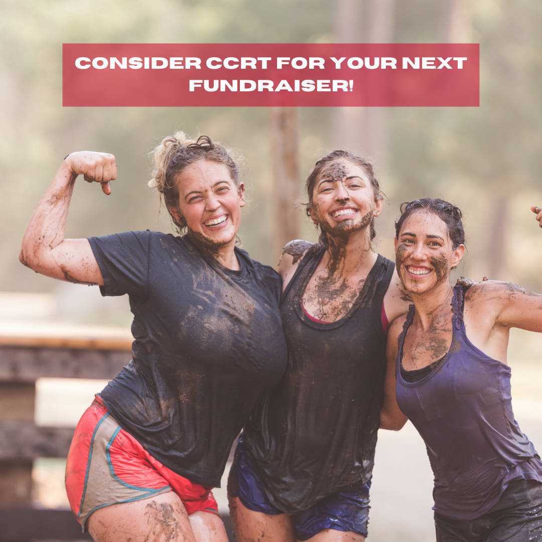 Community Crisis Response Team Suicide Prevention Ireland